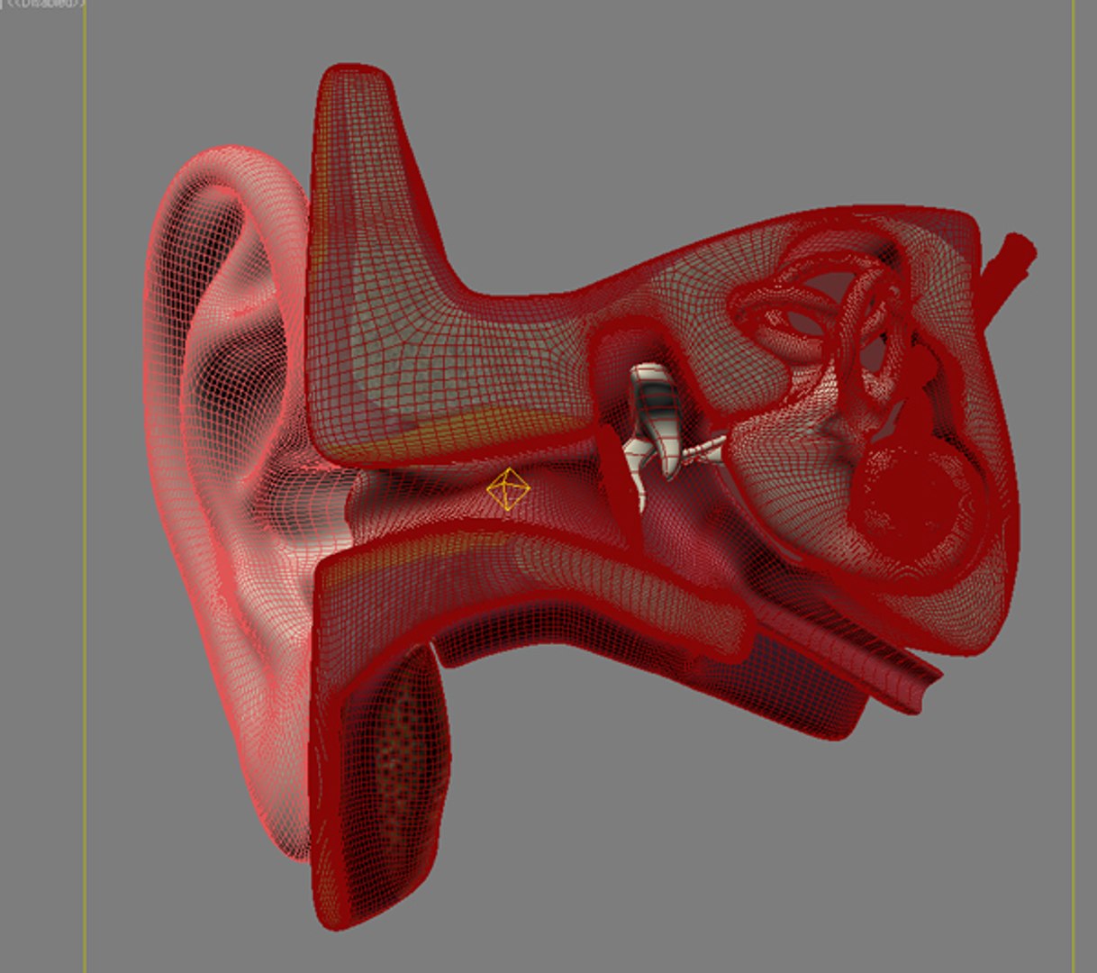 Stylized Ear Inner 3d Model