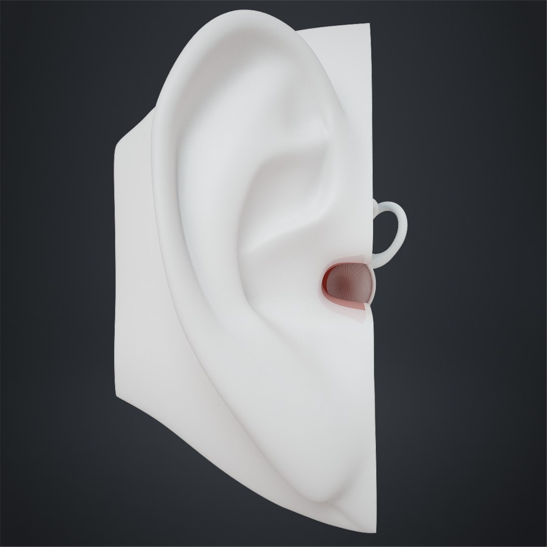 Stylized Ear Inner 3d Model