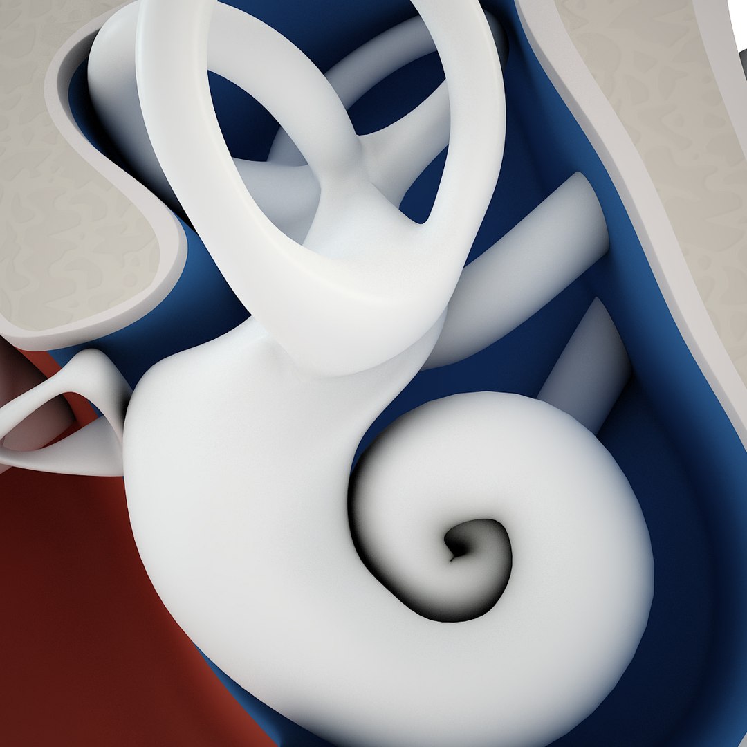 Stylized Ear Inner 3d Model