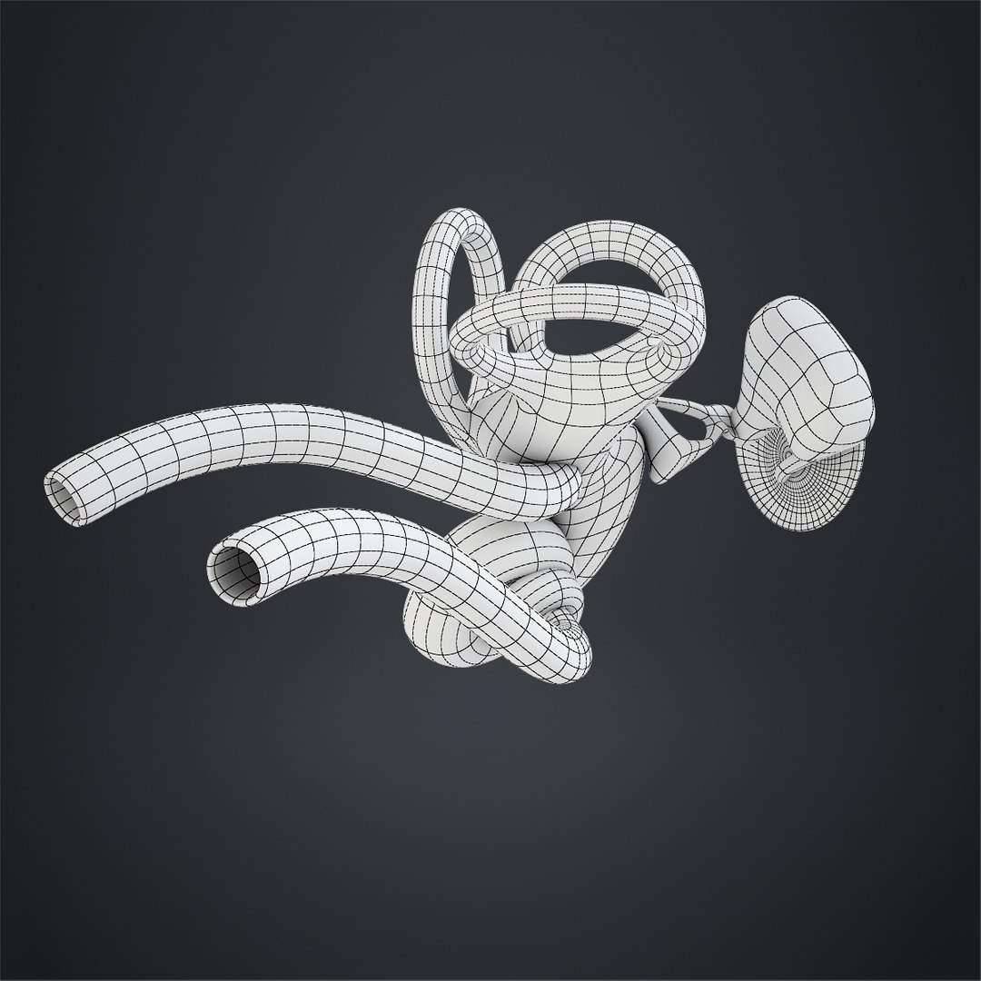 Stylized Ear Inner 3d Model