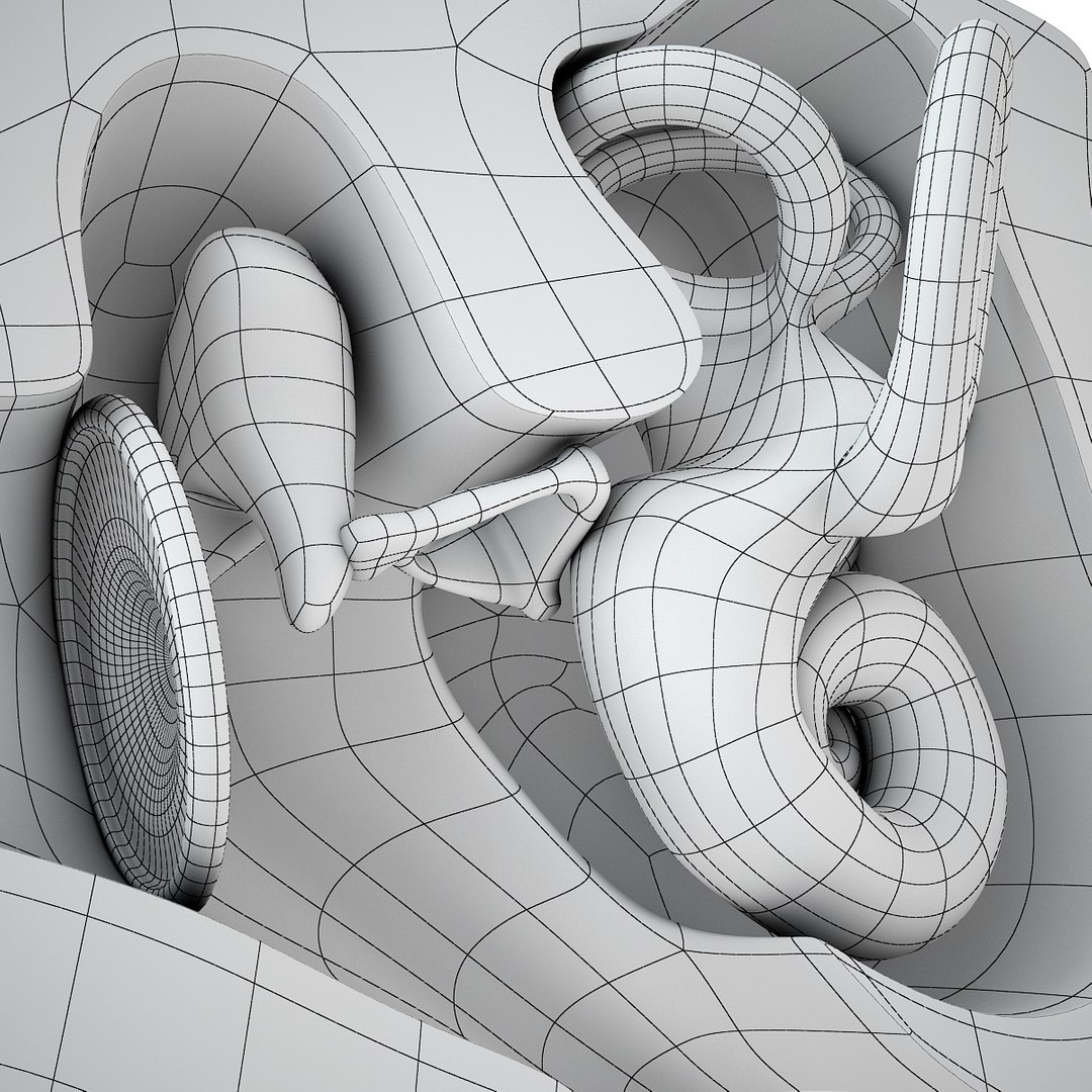 Stylized Ear Inner 3d Model