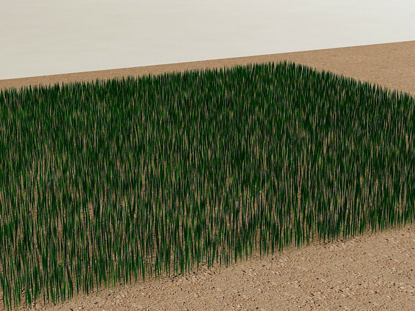 Grass Outdoor Modelled 3d Model