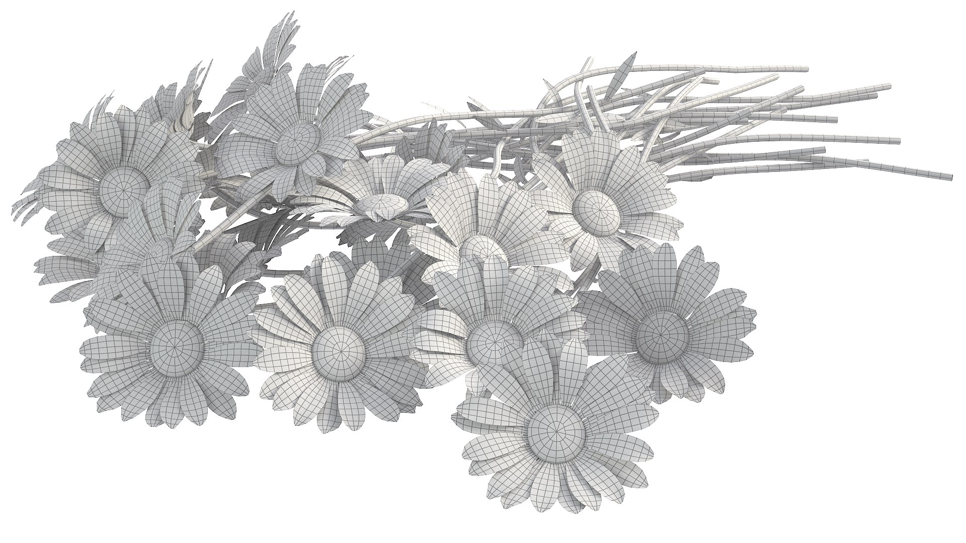 Chamomile 3D Model - TurboSquid 1599202