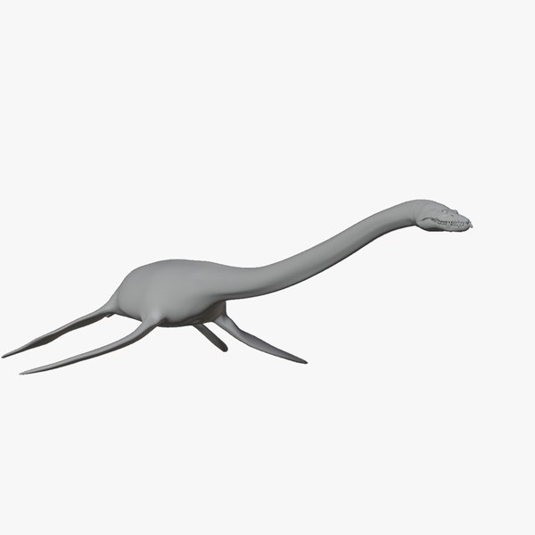 modelo 3d Plesiosaur Rigged Basemesh - TurboSquid 2025560