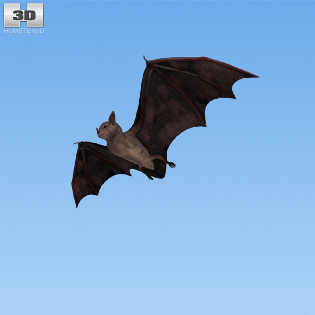 3D model common bat - TurboSquid 1241091