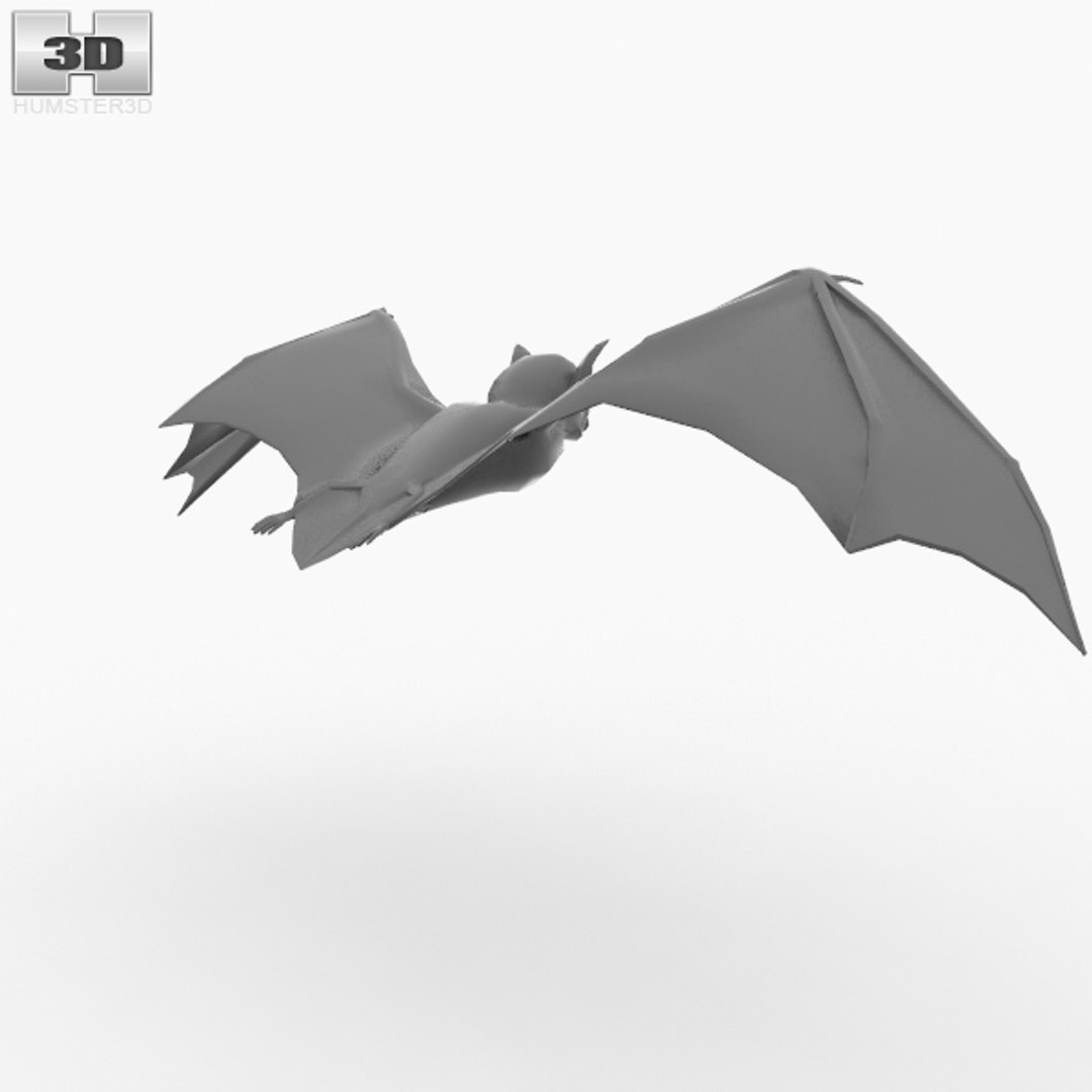 3D model common bat - TurboSquid 1241091
