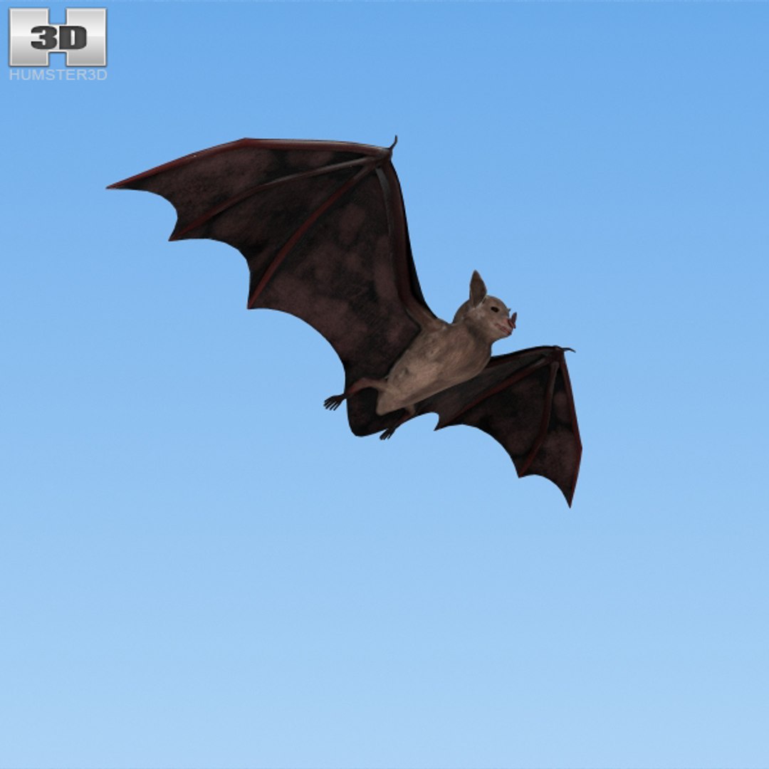 3D model common bat - TurboSquid 1241091