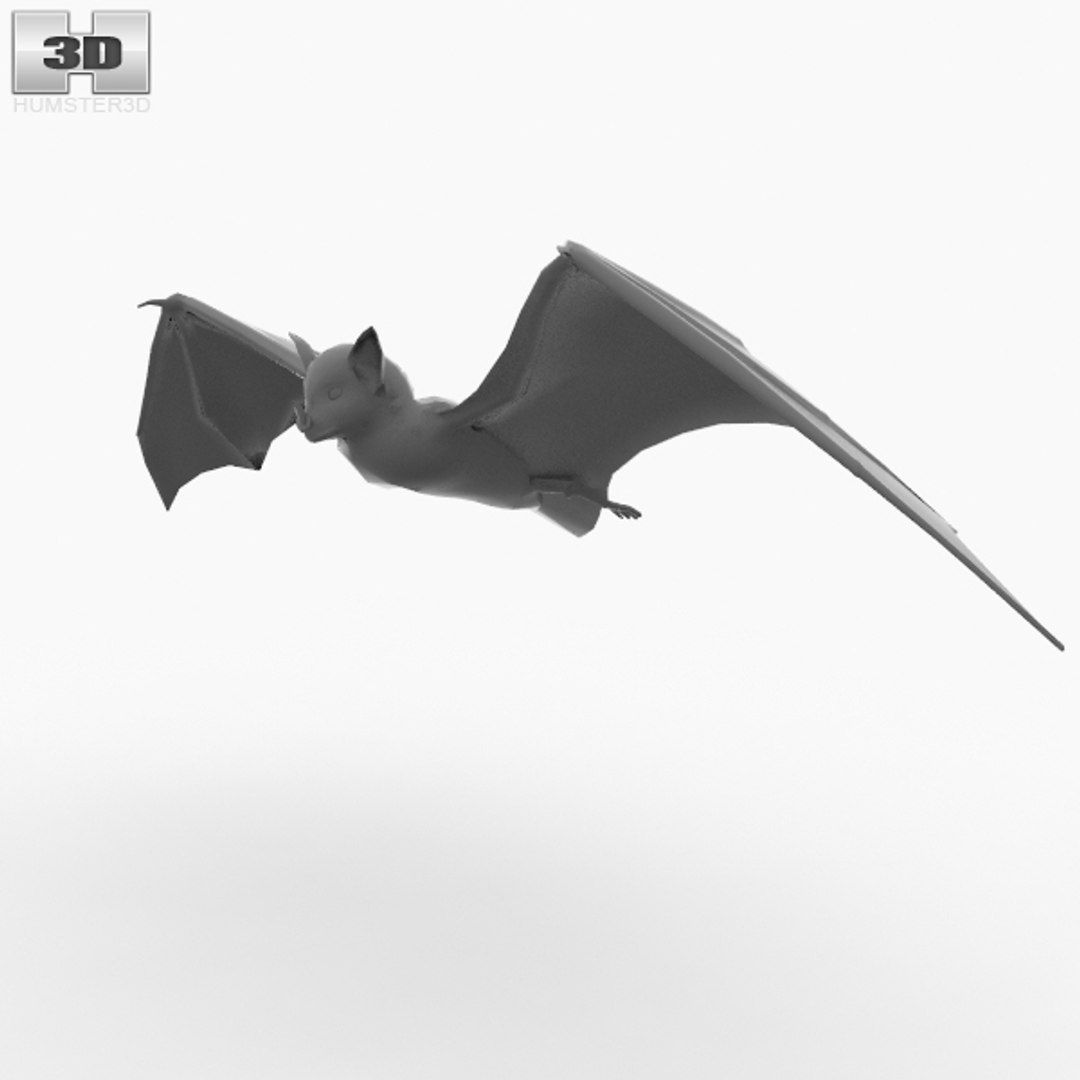 3D model common bat - TurboSquid 1241091