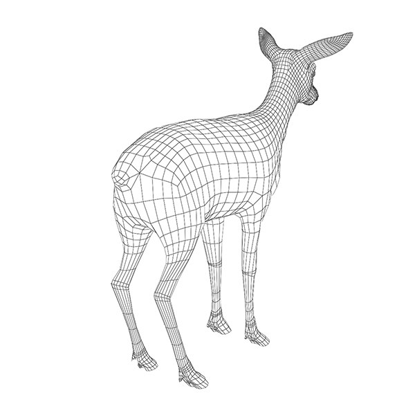 maya deer doe animate