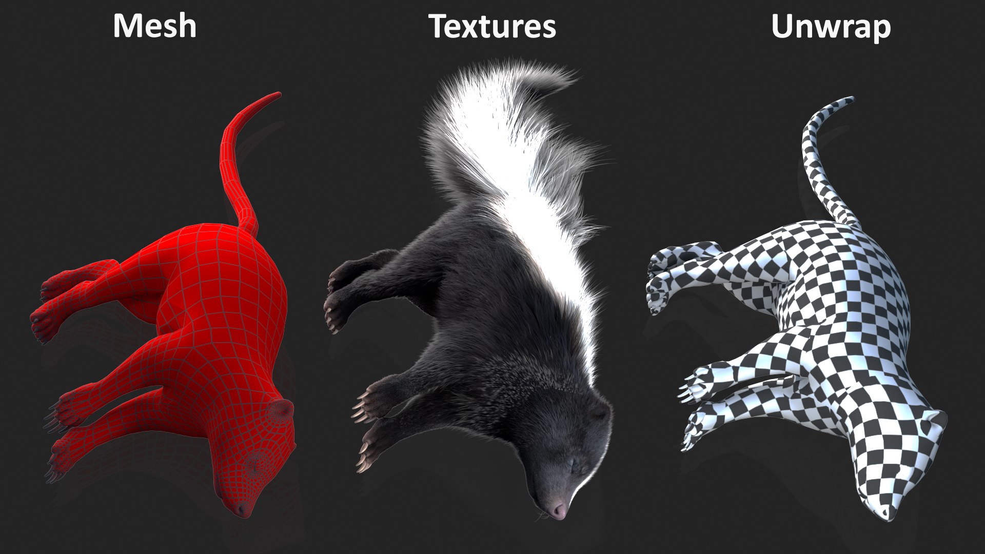 Skunk Lying Fur 3d Model Turbosquid 2110849
