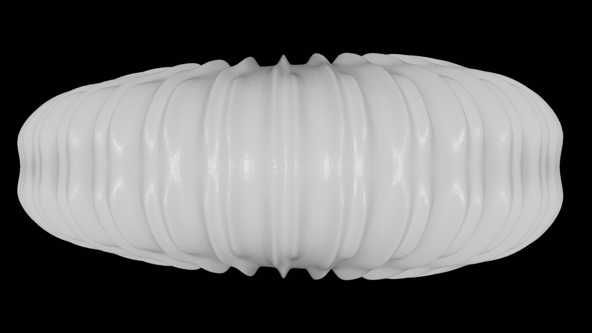 3D Ammonoid Shell With Monoschizotomous Bipartite Ribs Model ...