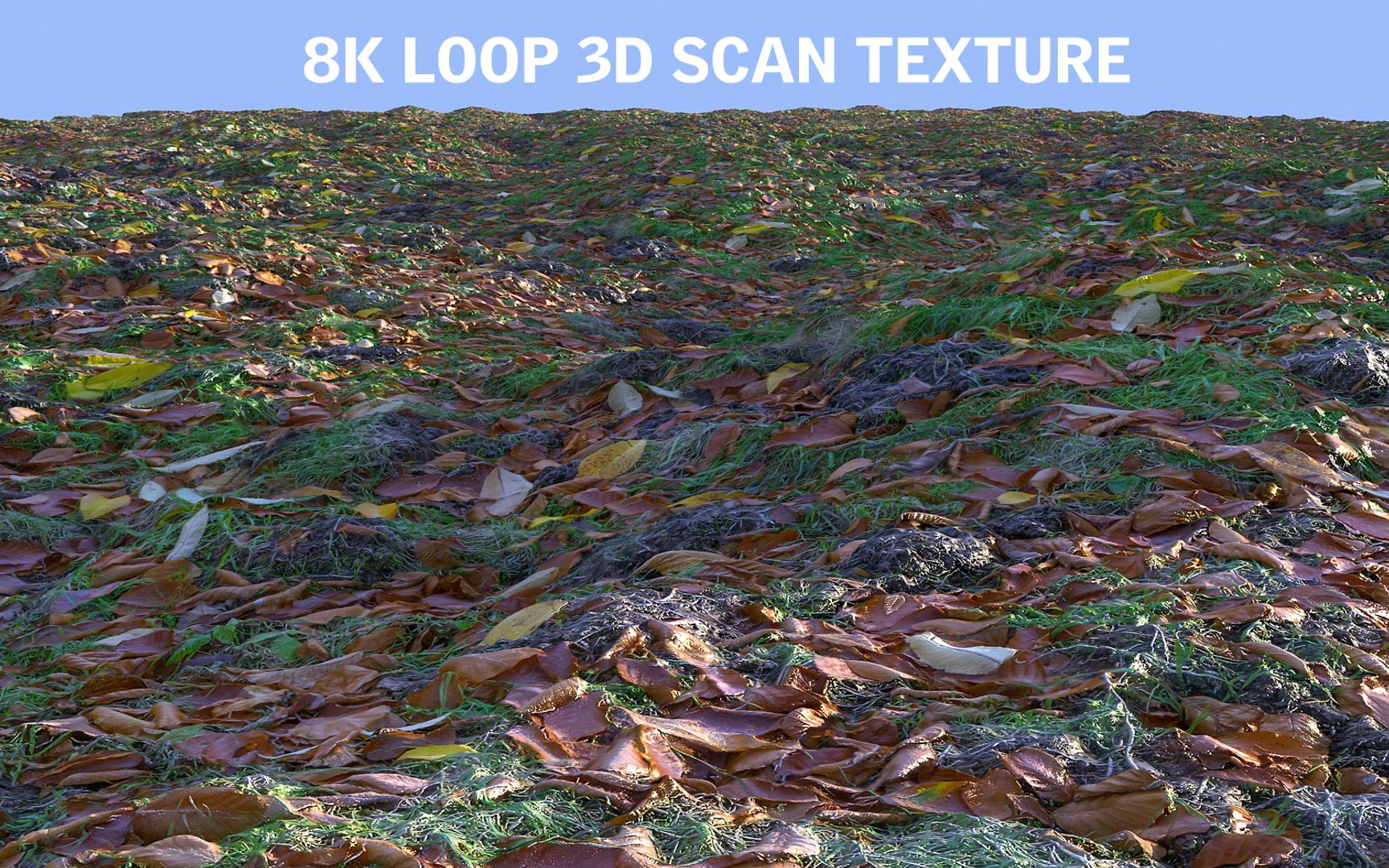 3dsmax Autumn Lawn Ground Scan
