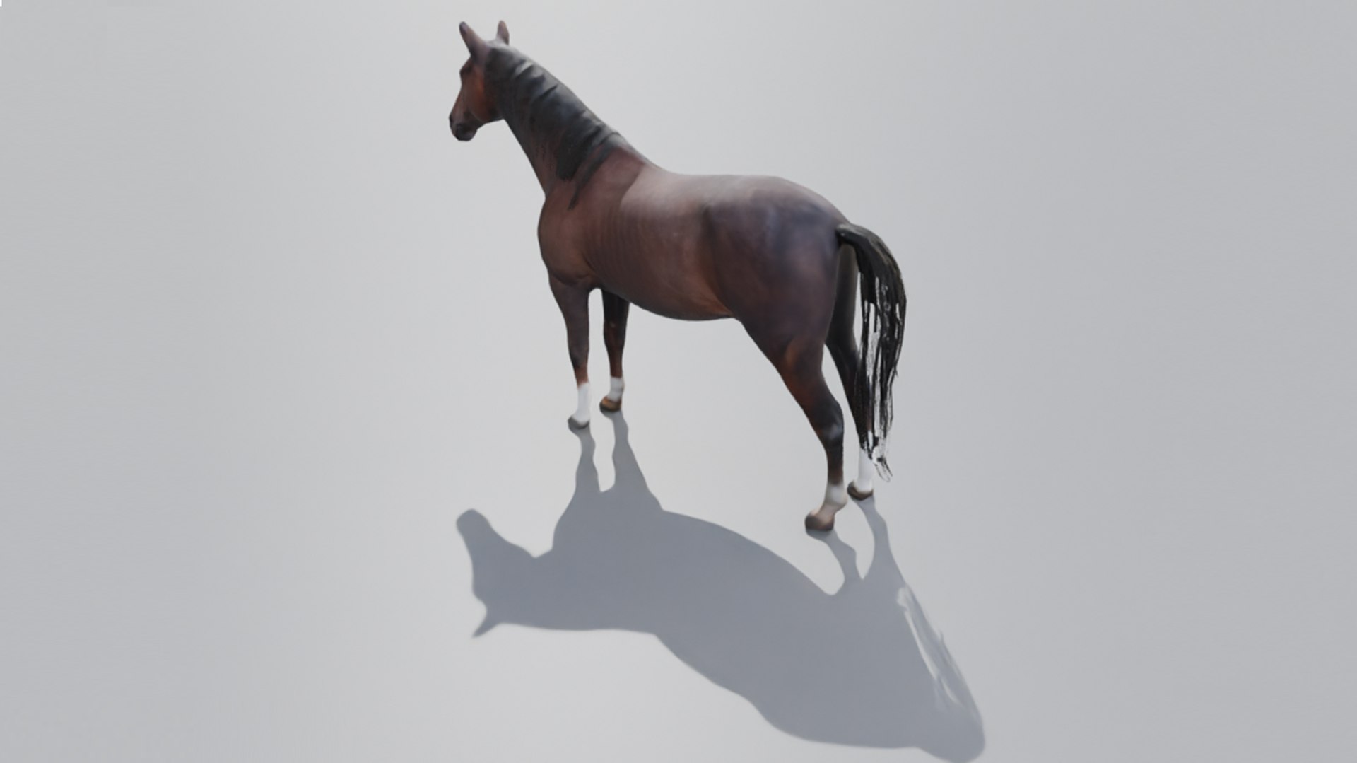 Realistic 3D Horse Model 3D Model - TurboSquid 2422619