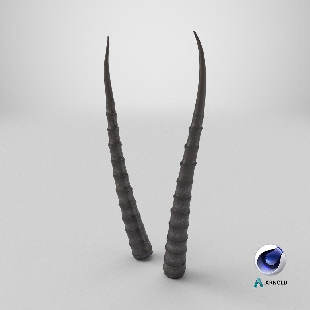 Horn V4 Model - TurboSquid 1743161