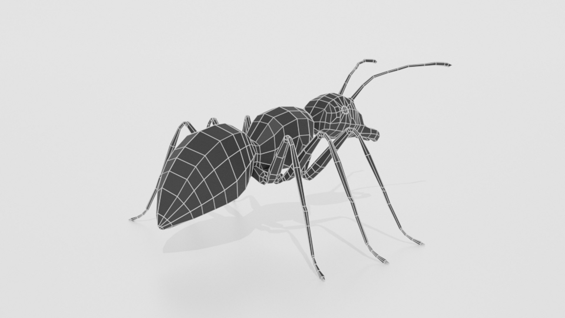 Ant 3D - TurboSquid 1611340