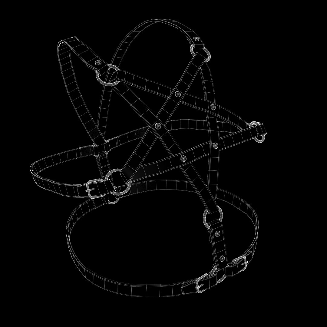 3D Harness Model - TurboSquid 1411464