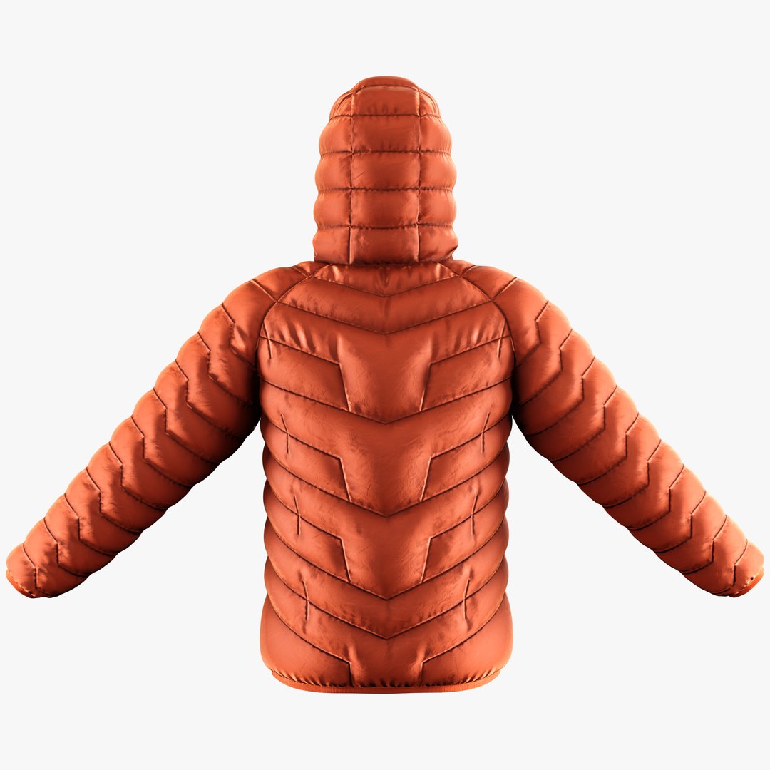 3D Down Jacket O Male Model - TurboSquid 2199524