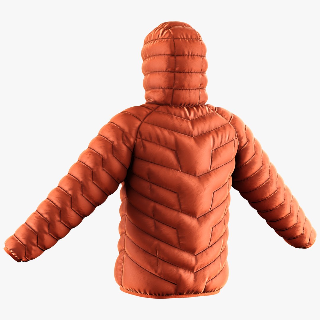 3D Down Jacket O Male Model - TurboSquid 2199524