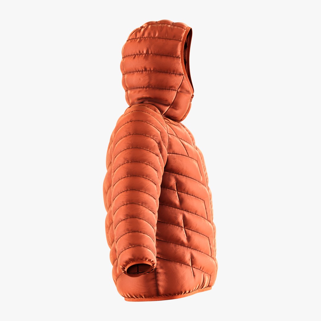 3D Down Jacket O Male Model - TurboSquid 2199524