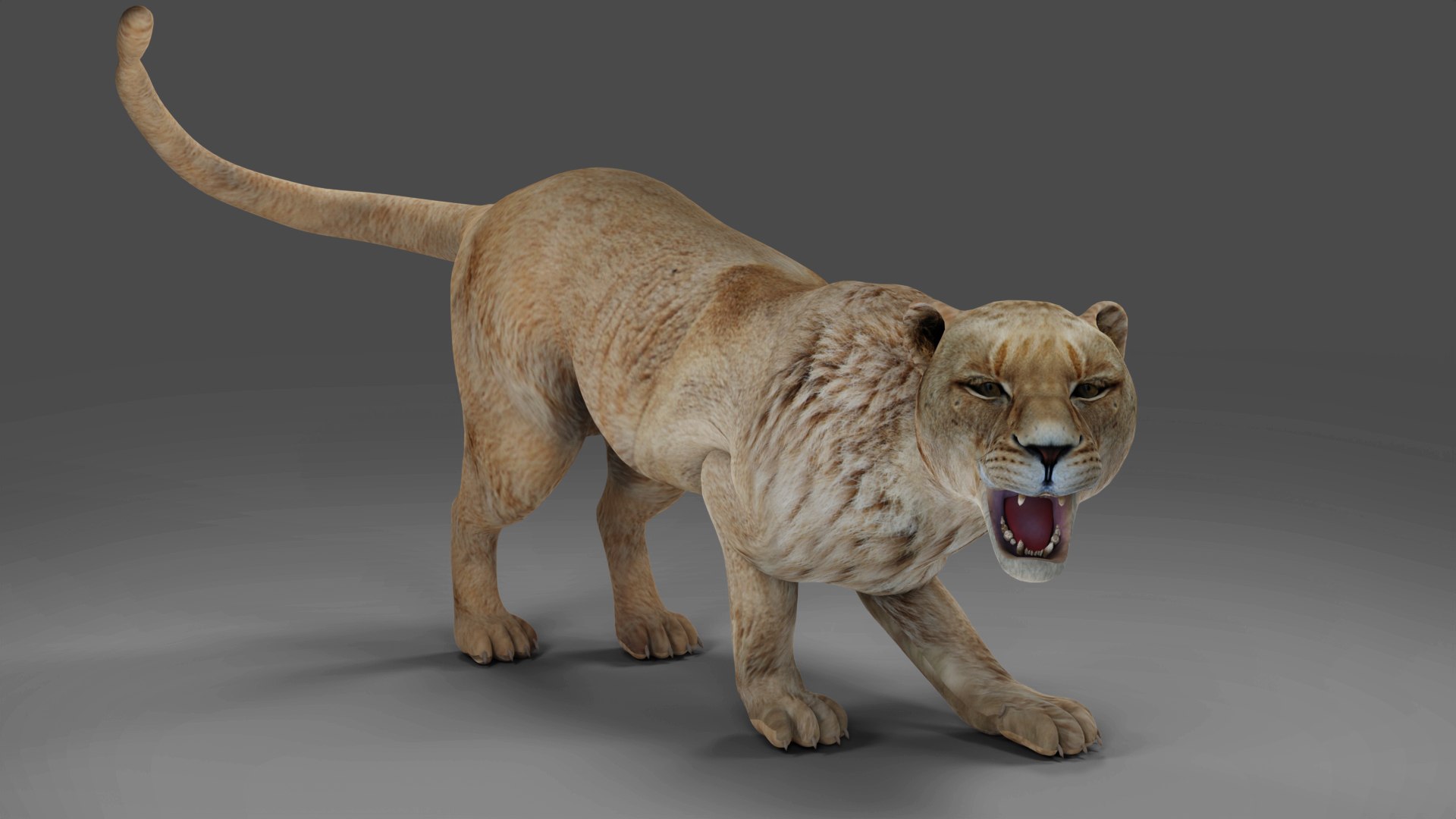 Lioness Rigged V01 In Blender Model - TurboSquid 2096205