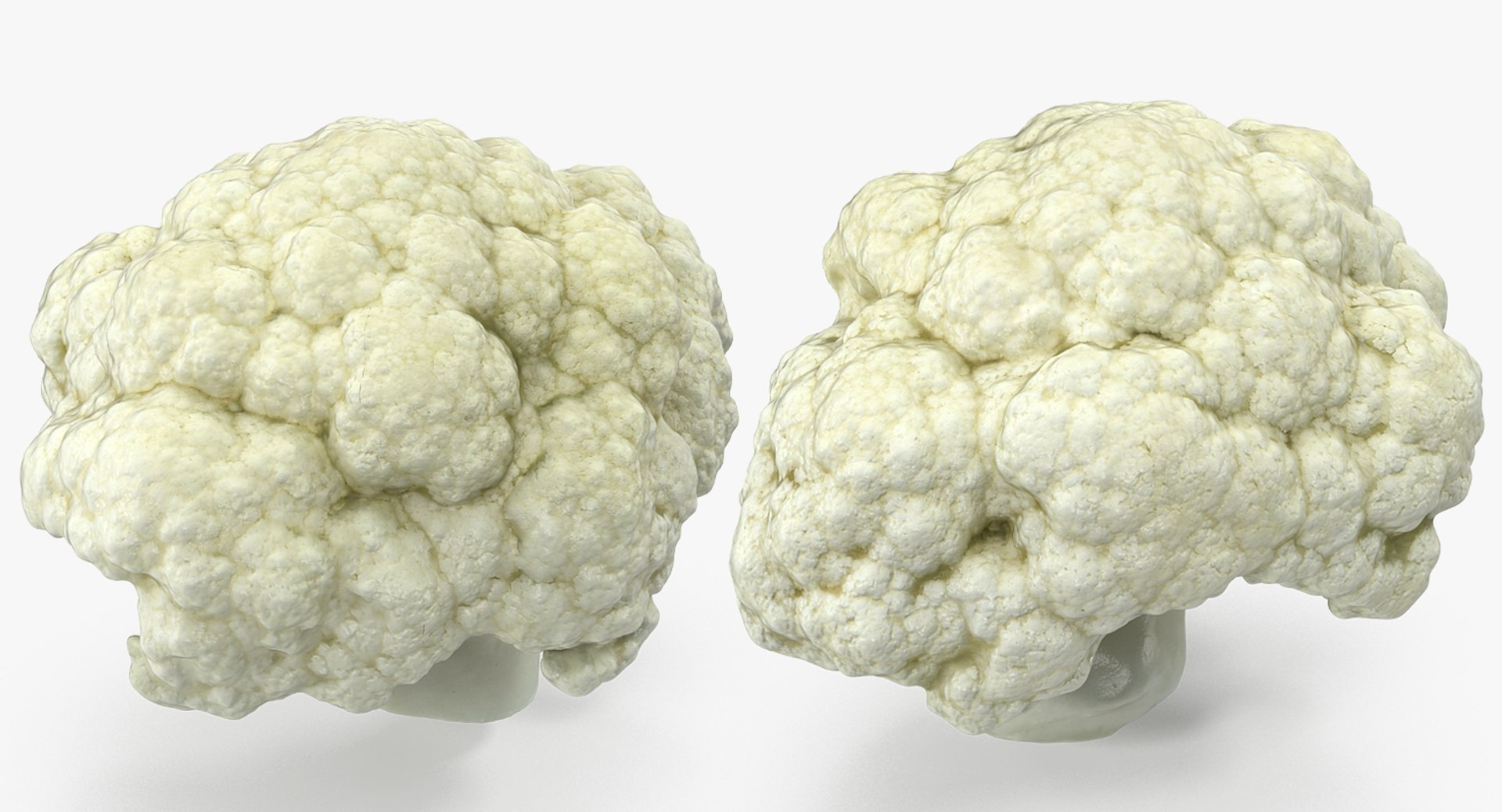 3D Cauliflower Piece Model - TurboSquid 1195694