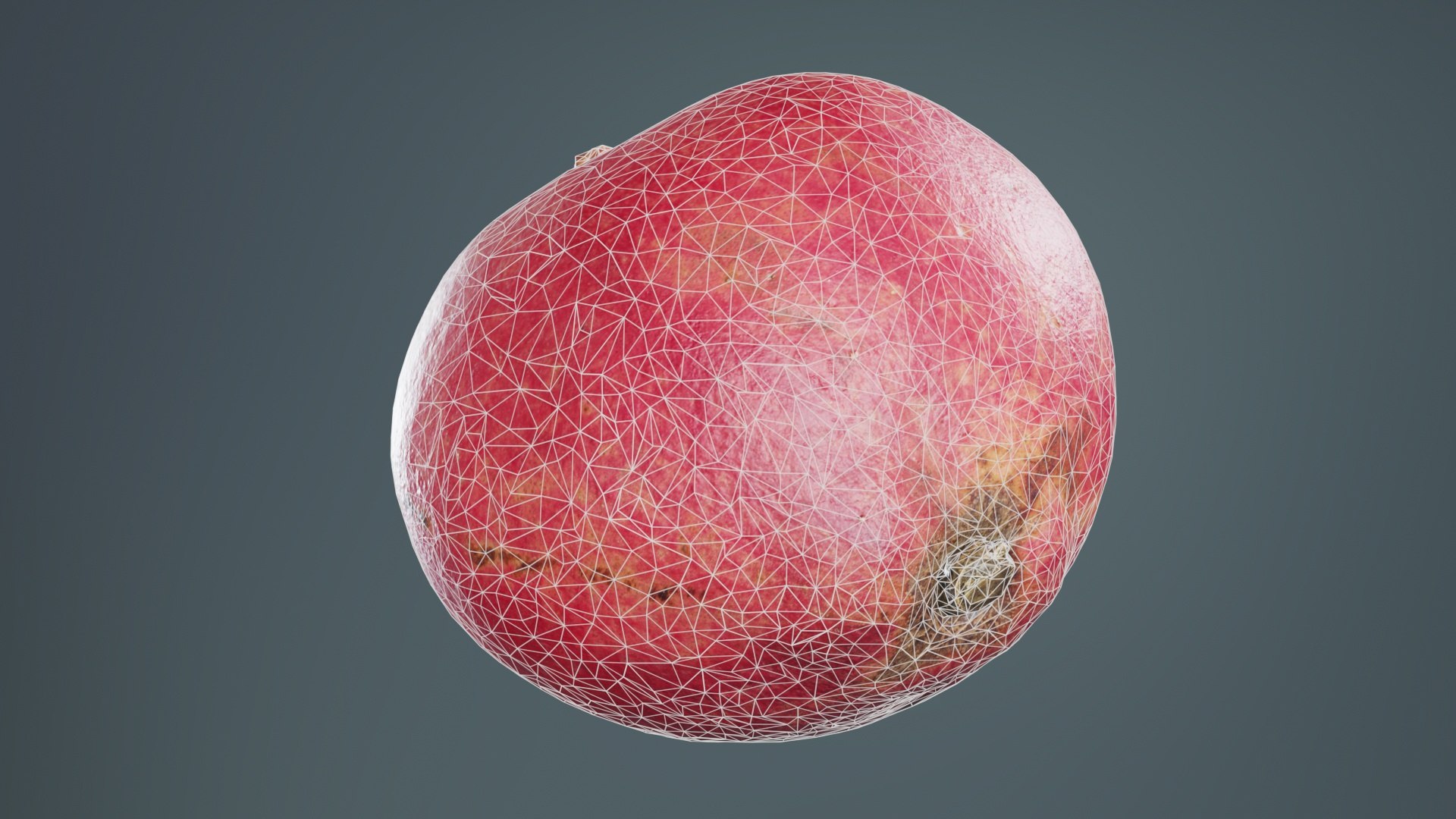 Pomegranate Remastered 3D Model - TurboSquid 2362376