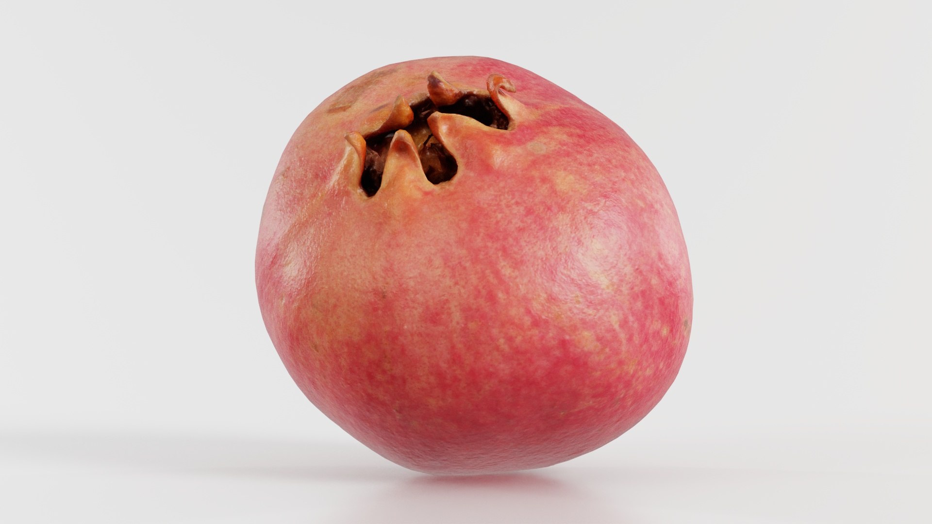 Pomegranate Remastered 3D Model - TurboSquid 2362376