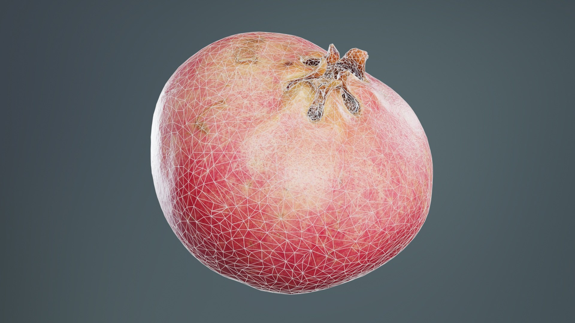 Pomegranate Remastered 3D Model - TurboSquid 2362376