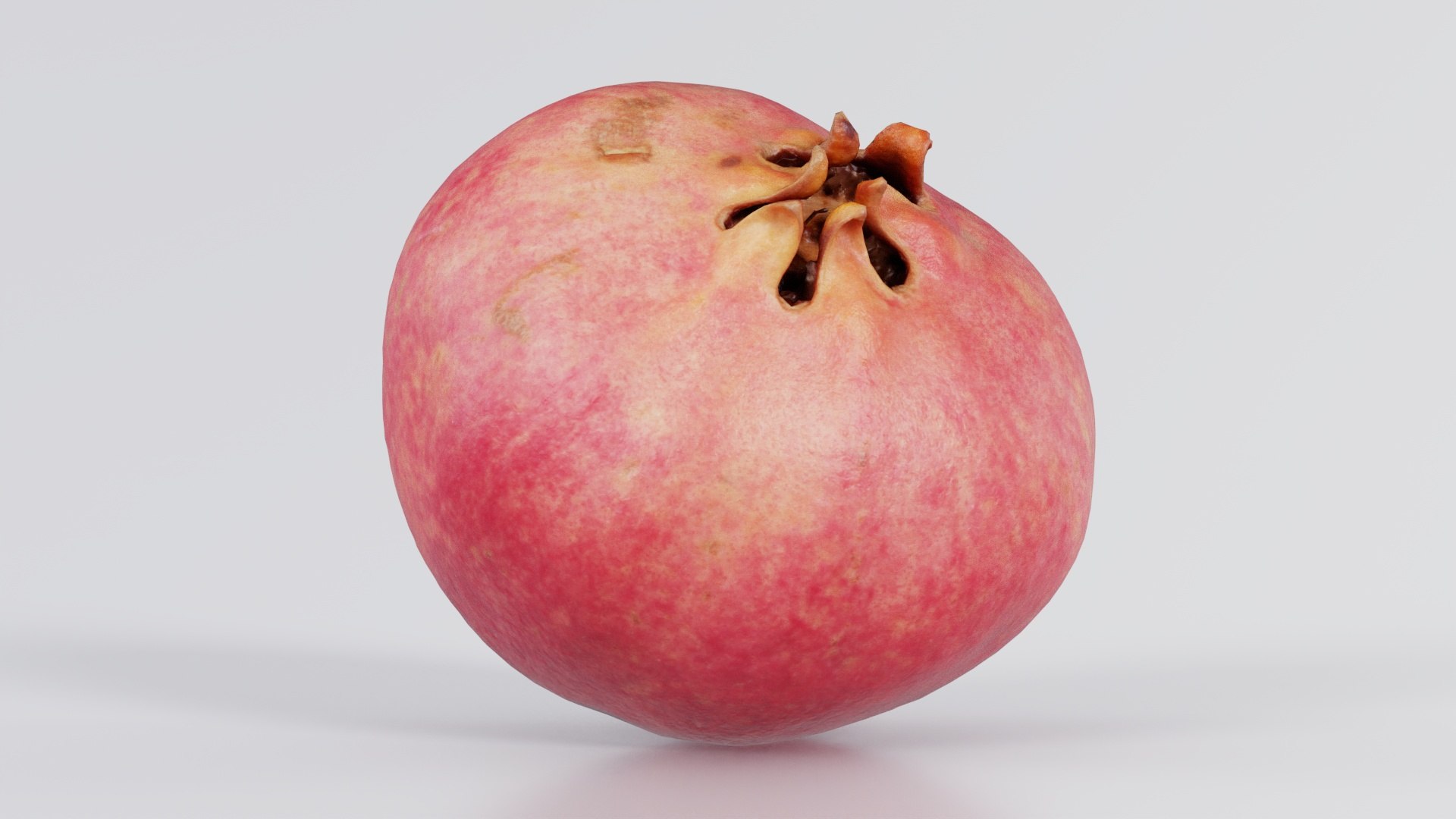 Pomegranate Remastered 3D Model - TurboSquid 2362376