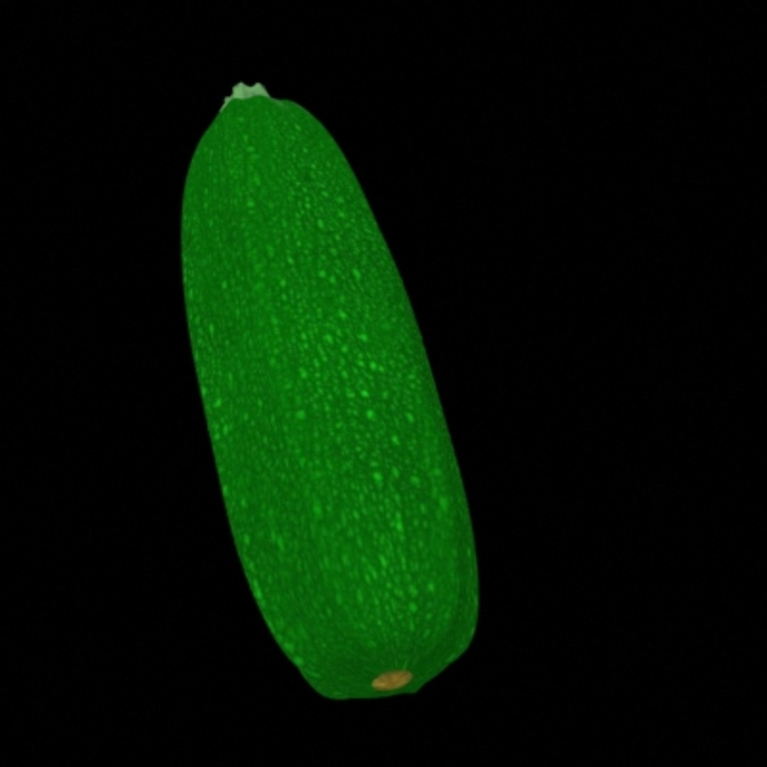 Zucchini Vegetable Dxf