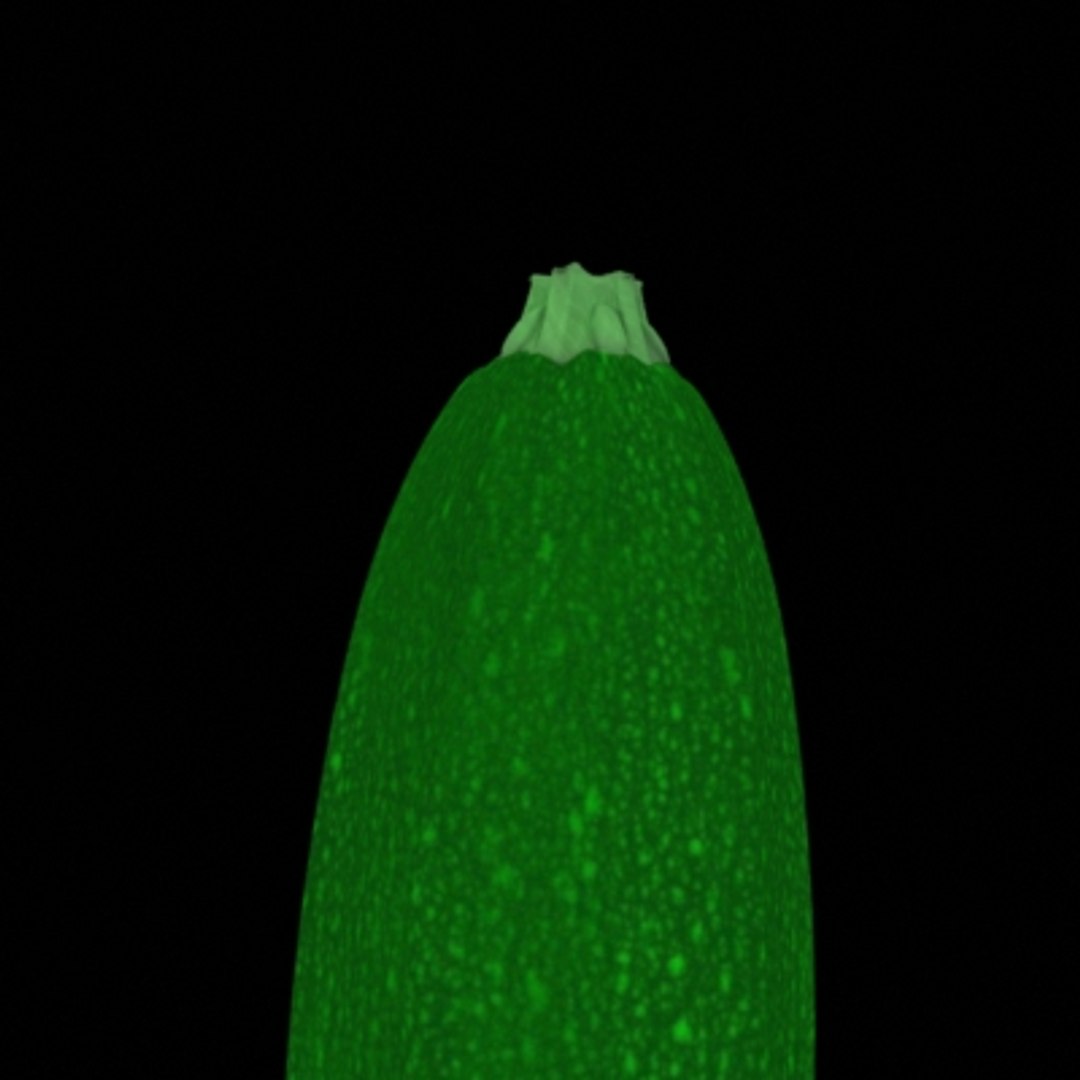 Zucchini Vegetable Dxf