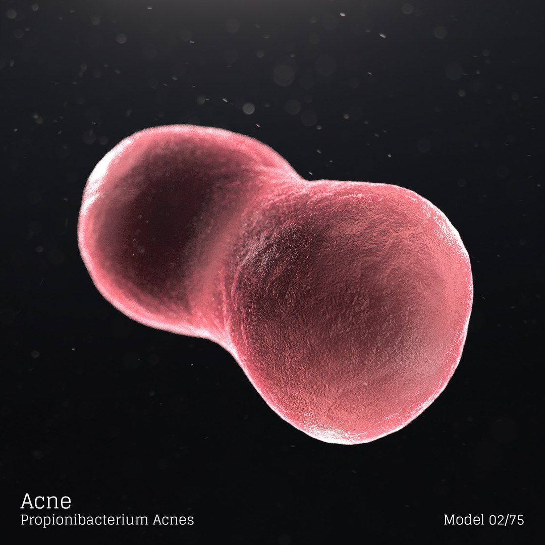 Microbes bacteria cells 3D model - TurboSquid 1626141