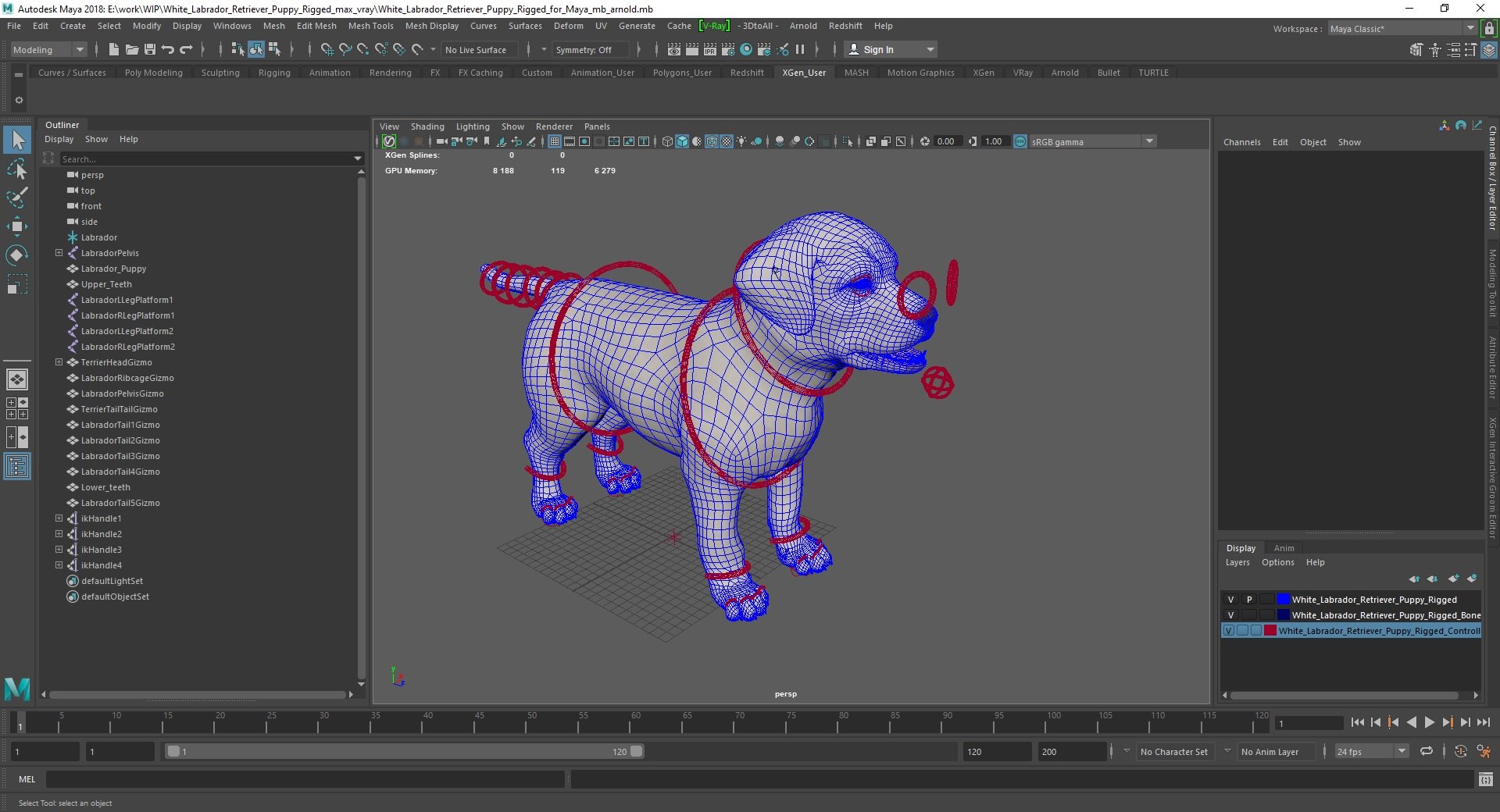 3D White Labrador Retriever Puppy Rigged For Maya Model - TurboSquid ...
