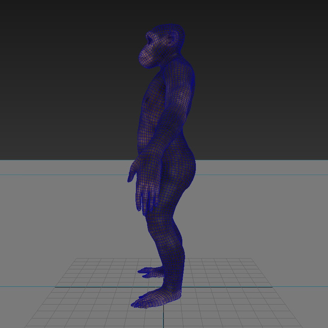 Ape Chimp Chimpanzee 3D Model - TurboSquid 1353872