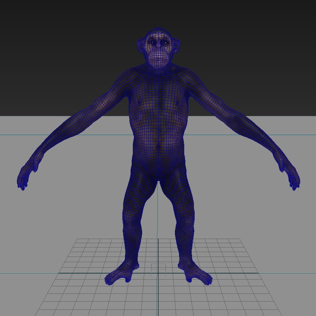 Ape Chimp Chimpanzee 3D Model - TurboSquid 1353872