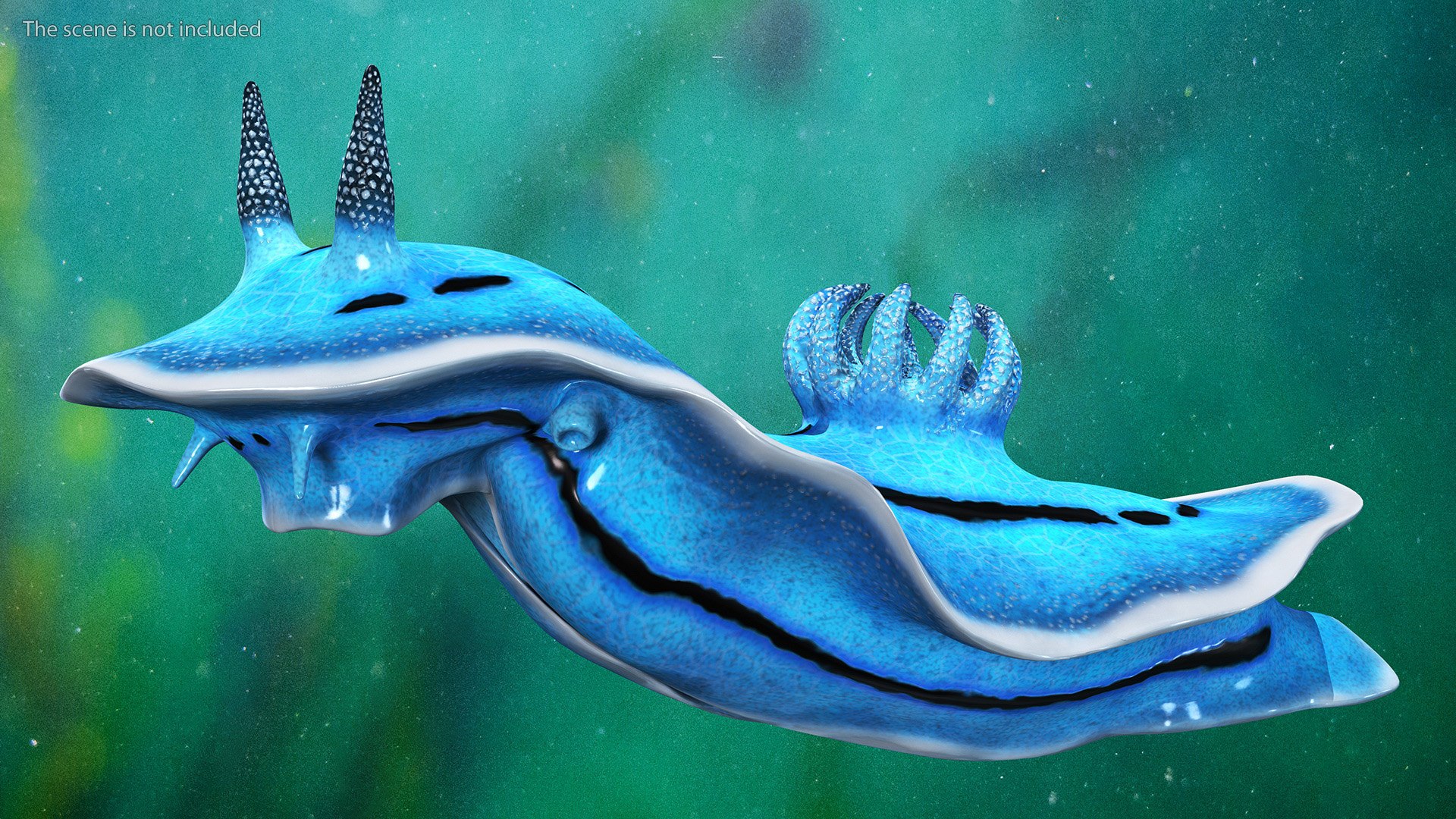 3D Blue Nudibranch Mollusk - TurboSquid 2185902