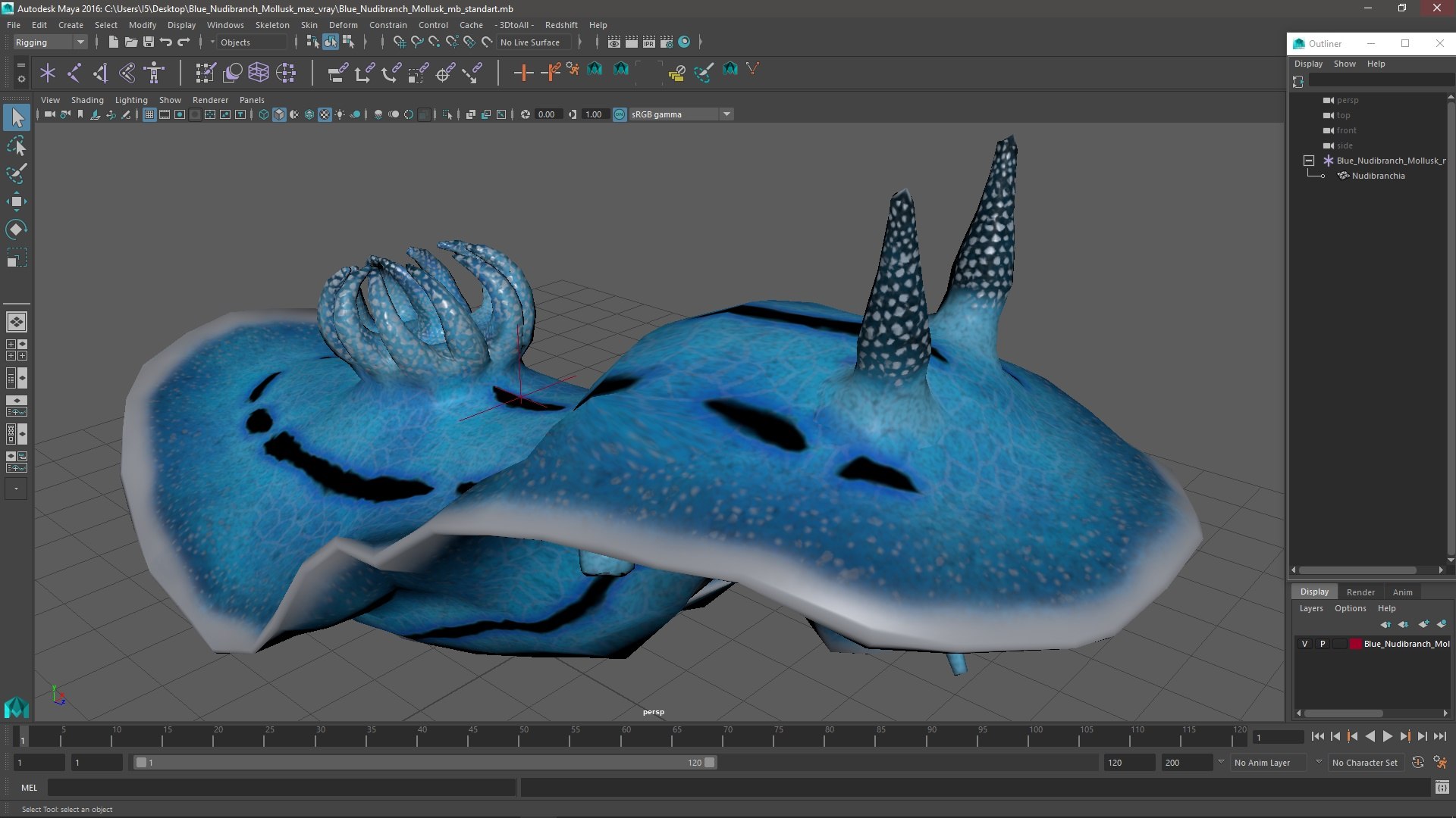 3D Blue Nudibranch Mollusk - TurboSquid 2185902