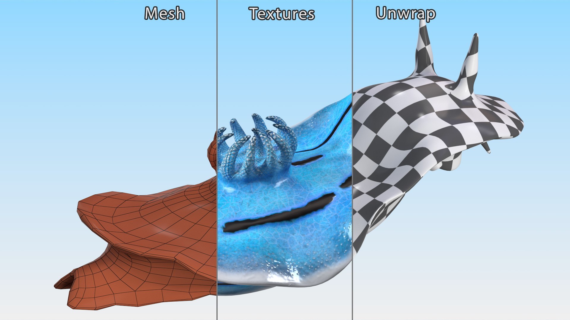 3D Blue Nudibranch Mollusk - TurboSquid 2185902