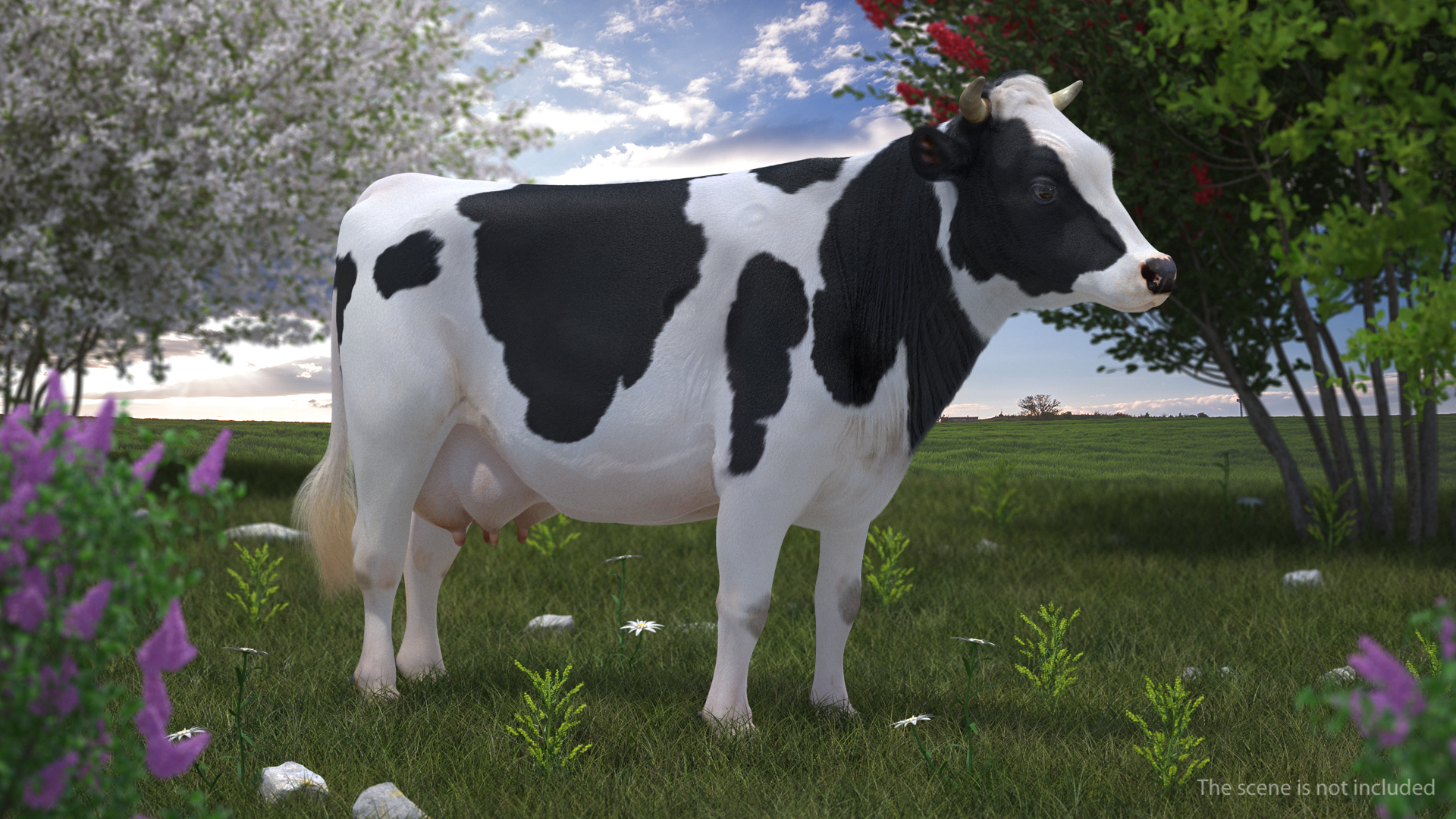 Eating Cow Animal Rigged 3D Model - TurboSquid 1564273