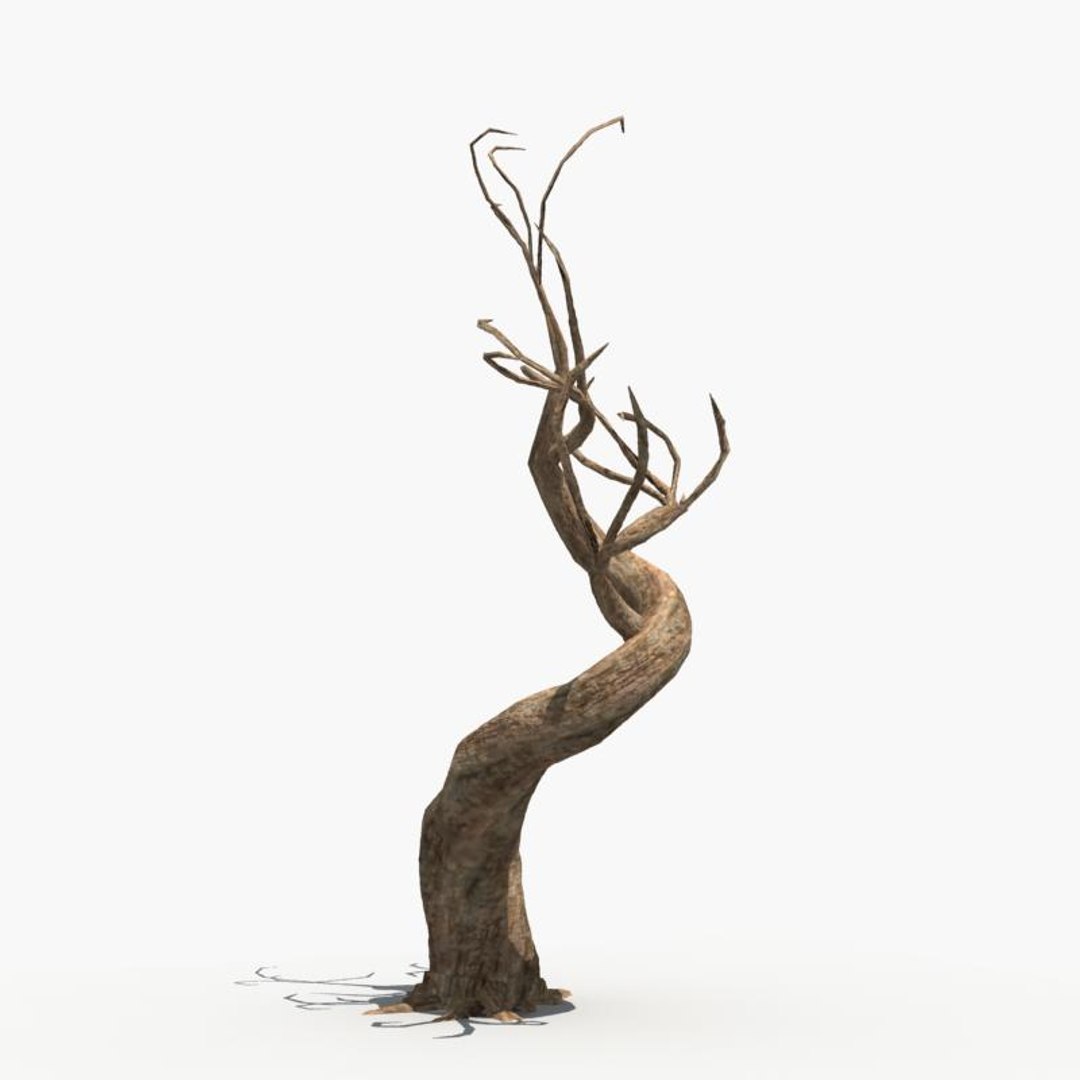 3d Scary Tree Dry Model