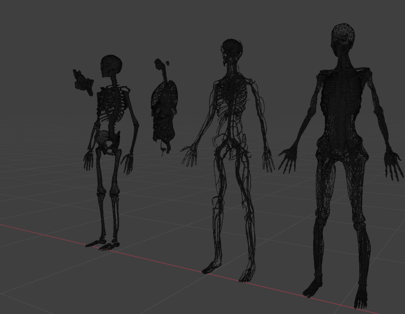 Human Anatomy 3D Model - TurboSquid 2322598