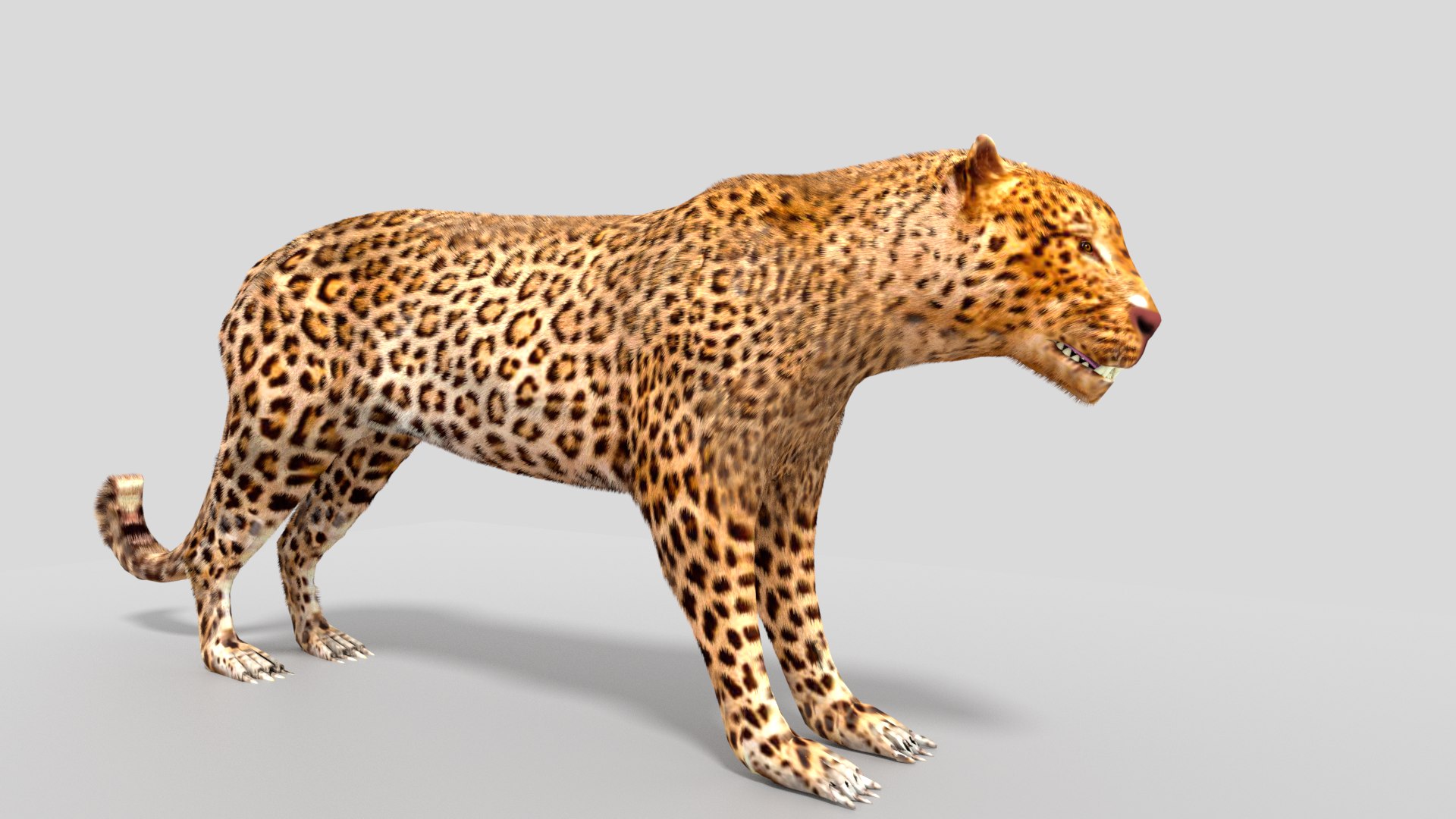 LEOPARD 3D - TurboSquid 1758554