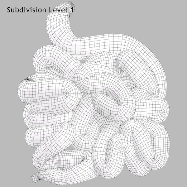 3d model large intestine