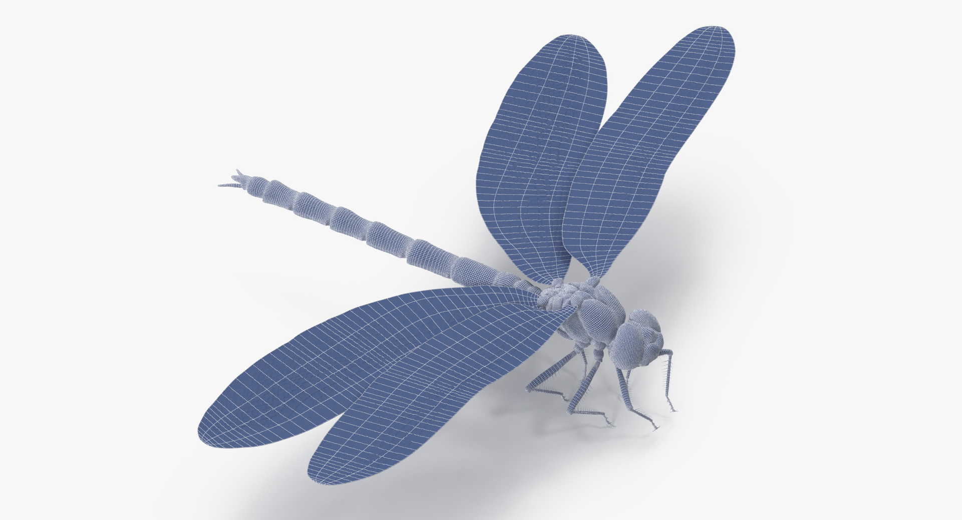 3d model dragonfly pose 01