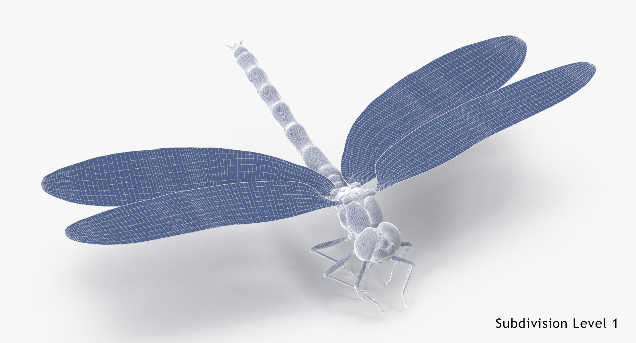3d model dragonfly pose 01