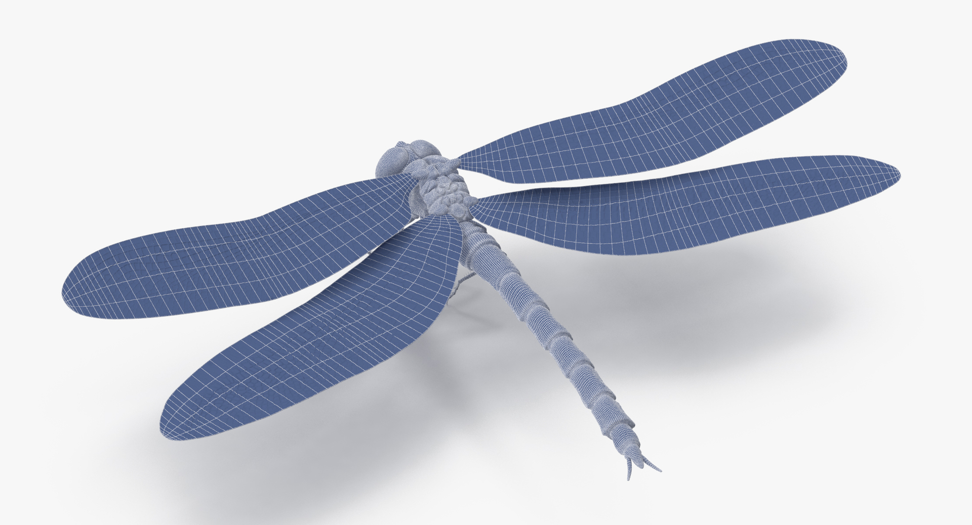 3d model dragonfly pose 01