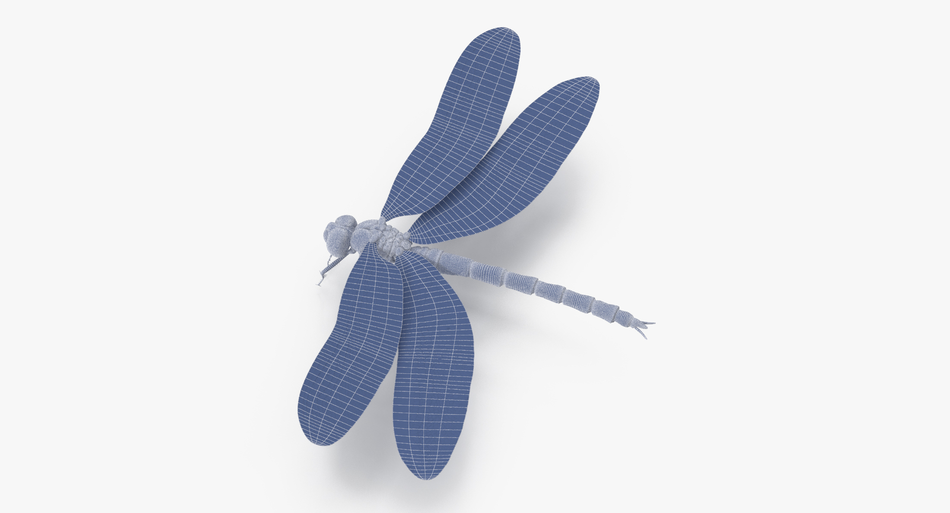 3d model dragonfly pose 01