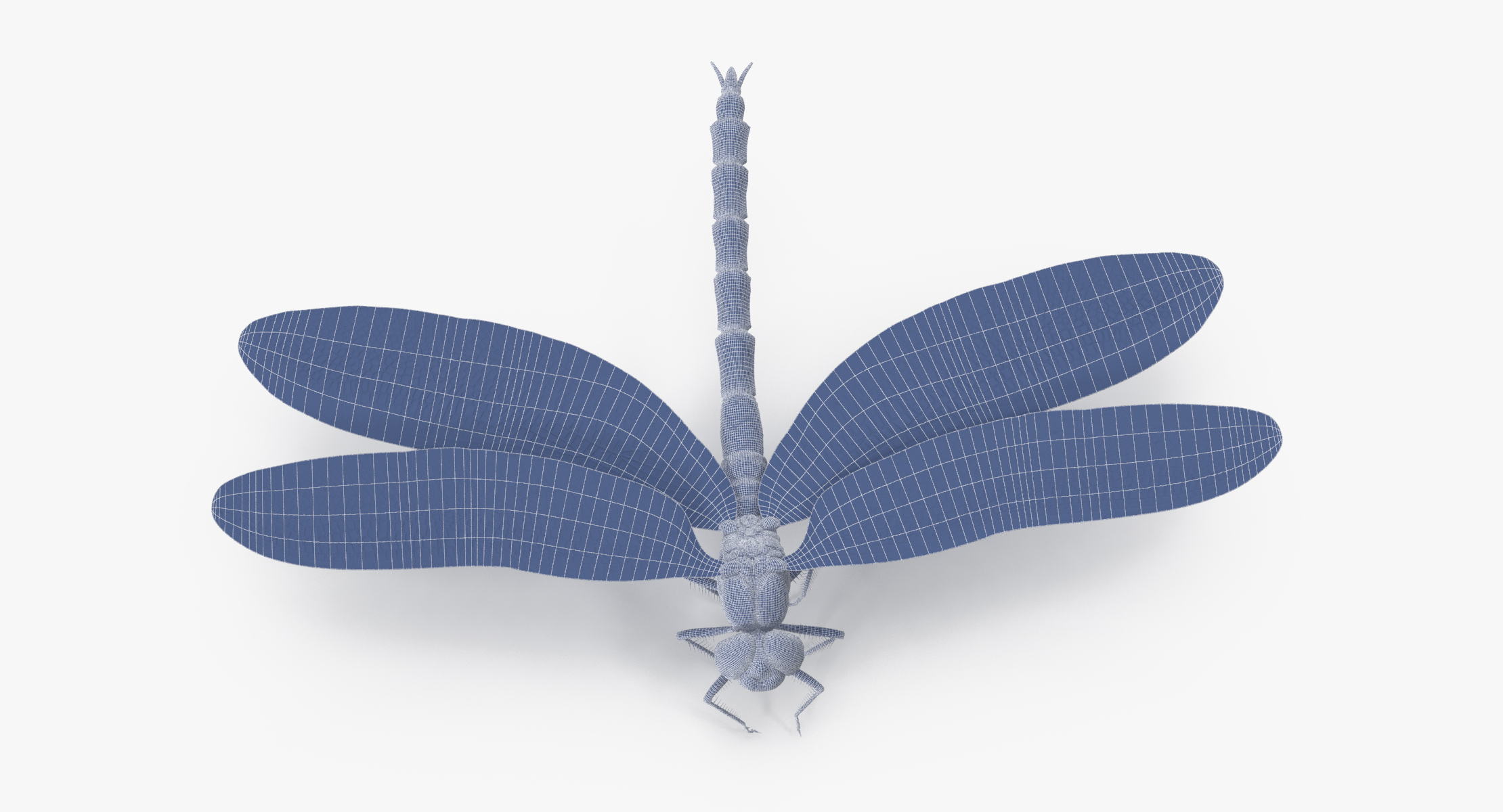 3d model dragonfly pose 01
