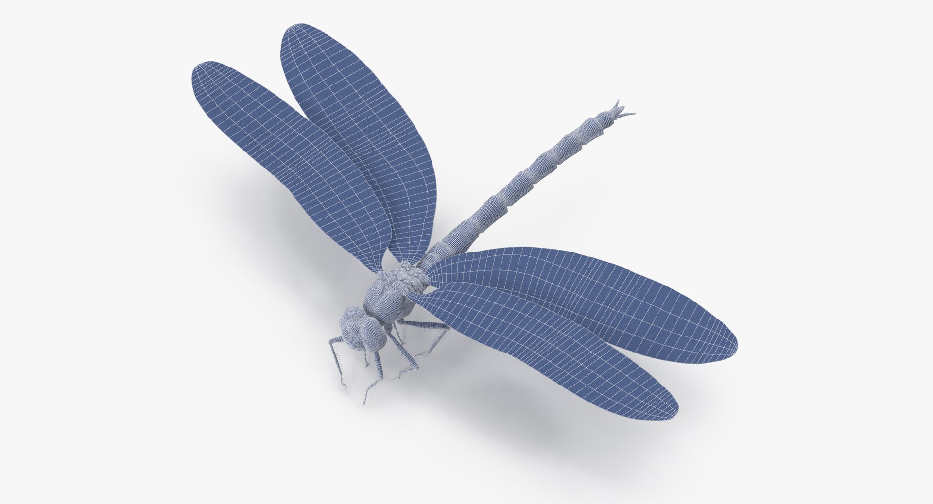 3d Model Dragonfly Pose 01