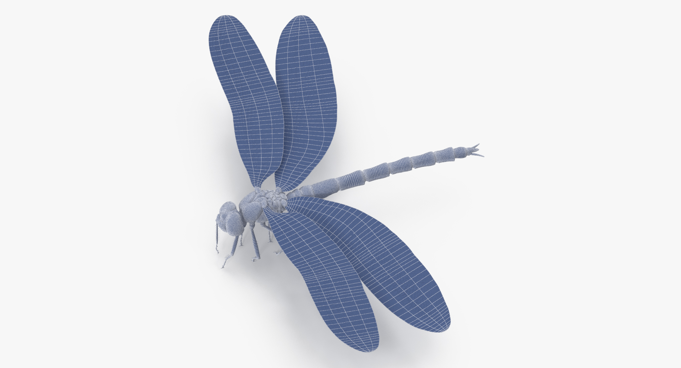 3d model dragonfly pose 01